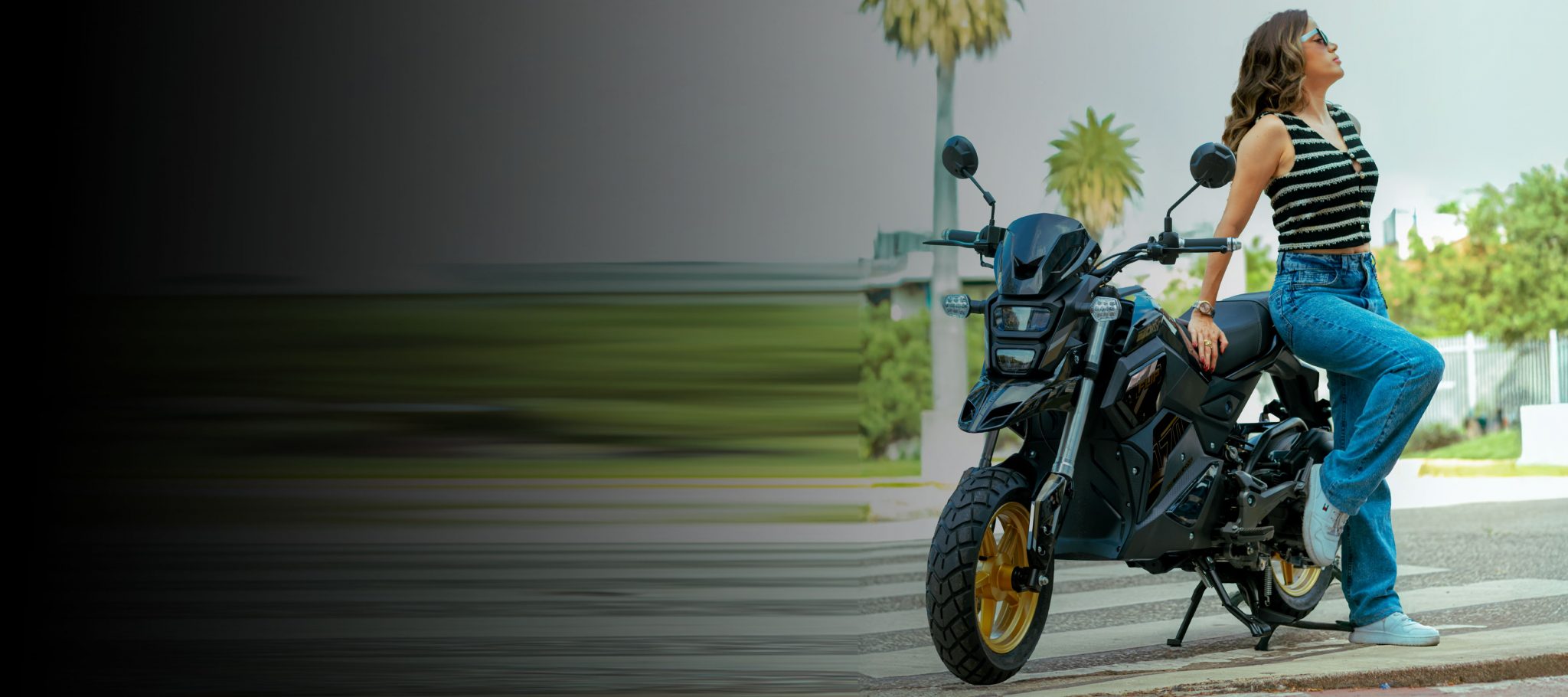 FLIP 170CC - Daytona motorcycles, desde el 2005